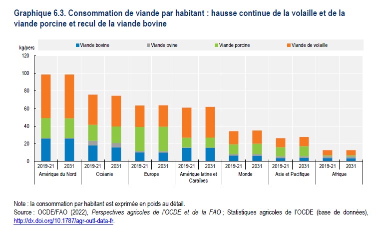 Evolution du marché porcin mondial d’ici à 2031